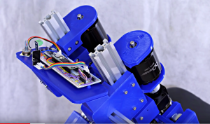 Self-Balancing Blue Hedgehog-Inspired Robot